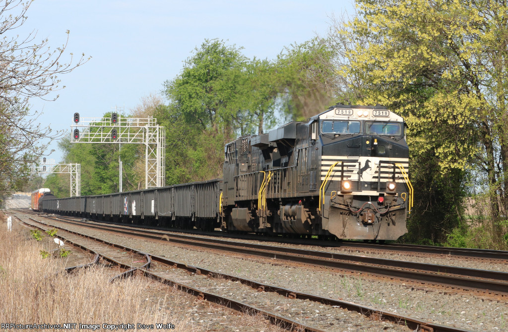 NS 7519